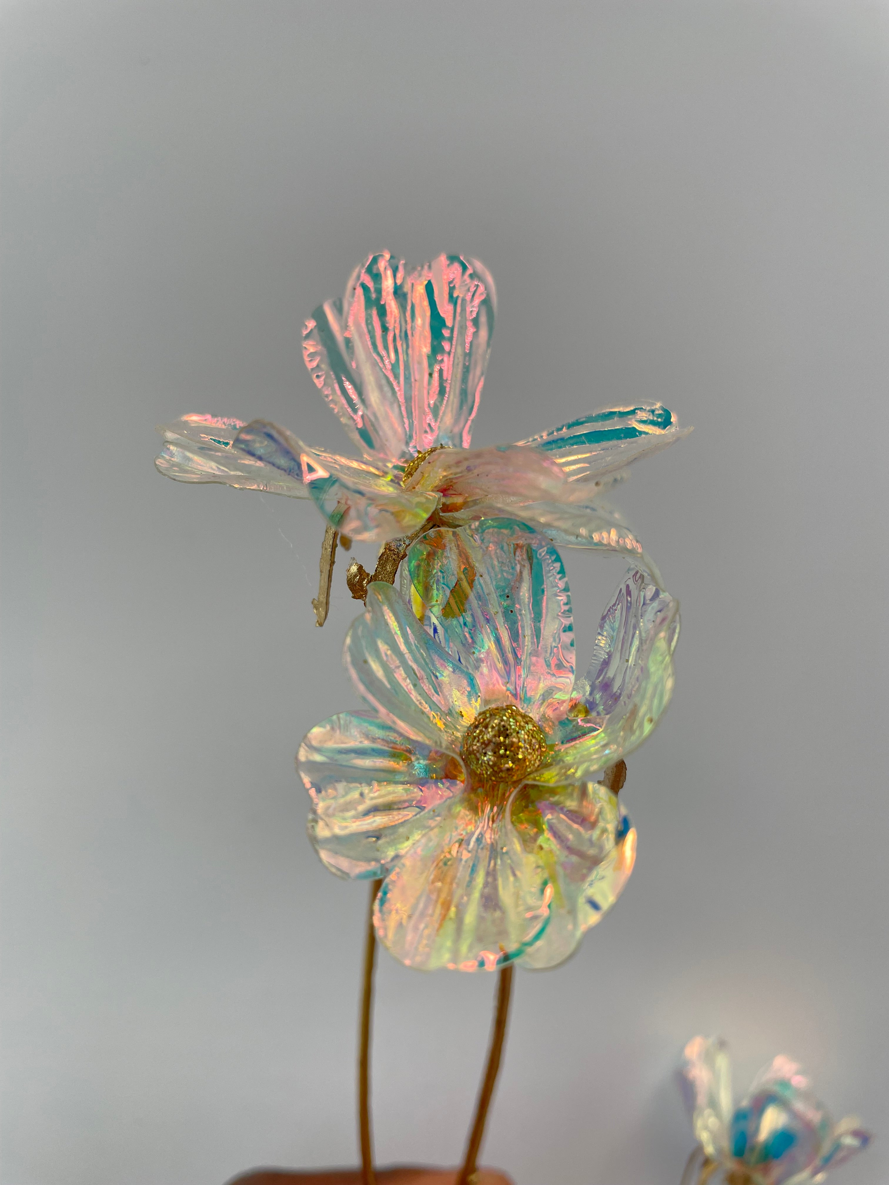 Cosmos Spray – J. Anise & Co.